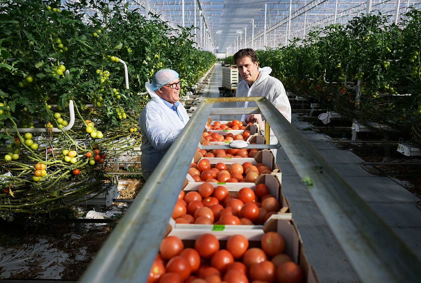 The Flavour Farm - Cibus Capital
